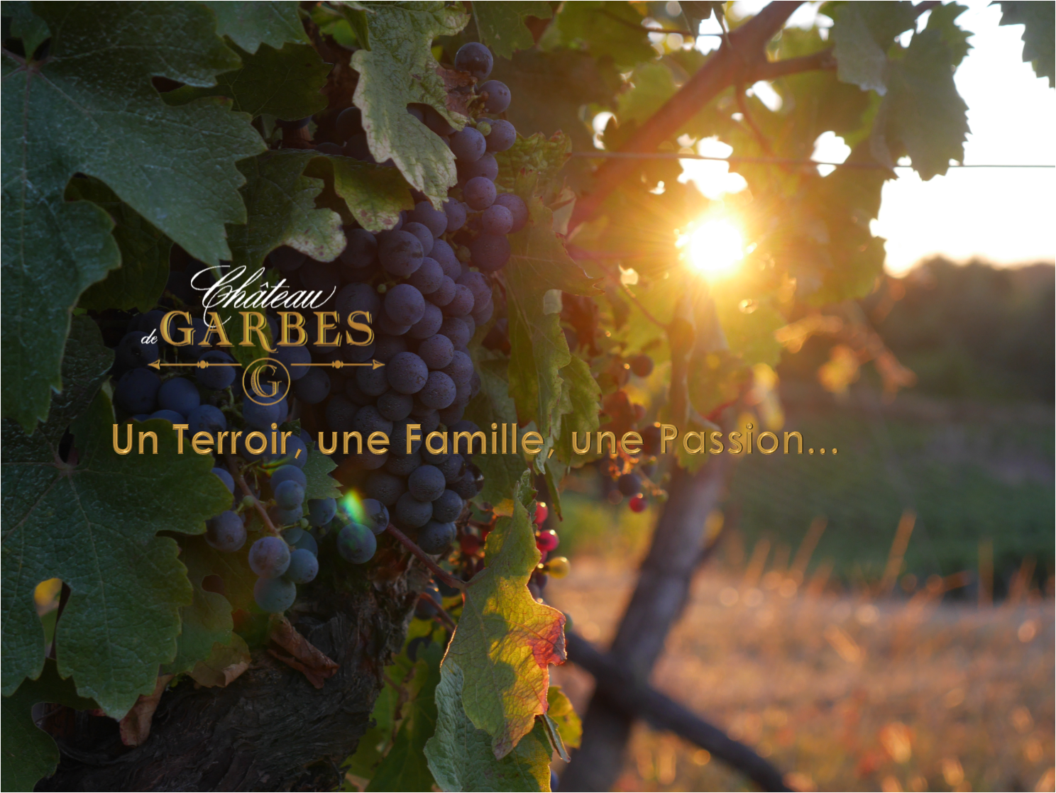 L’appellation Cadillac fait Le Point ! | Château de Garbes